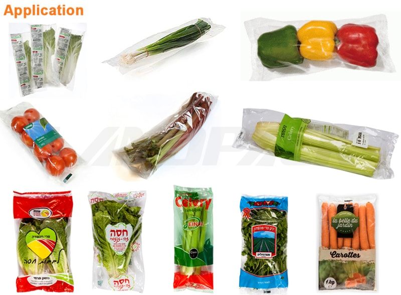 Automatic Fruit/ Vegetable Reciprocating Flow Pack Machine (HFFS) With ...