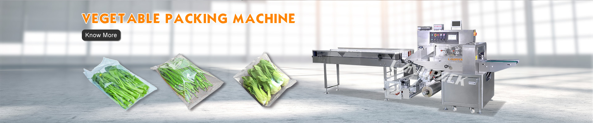 China Leading vegetable and fruit packing machine manufacturer